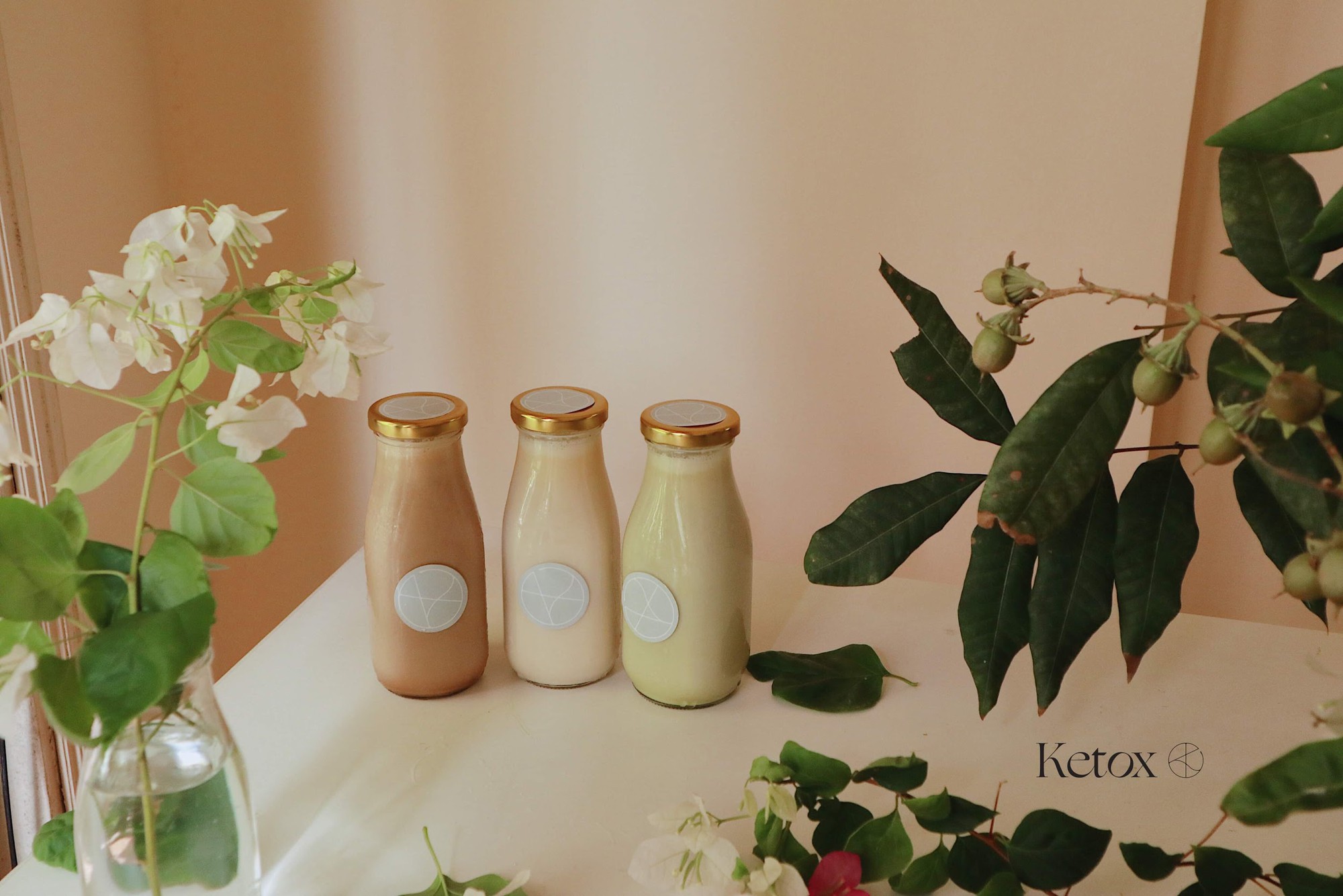 KetoX – Liệu trình thải độc cơ thể của người Việt có tác dụng thế nào?