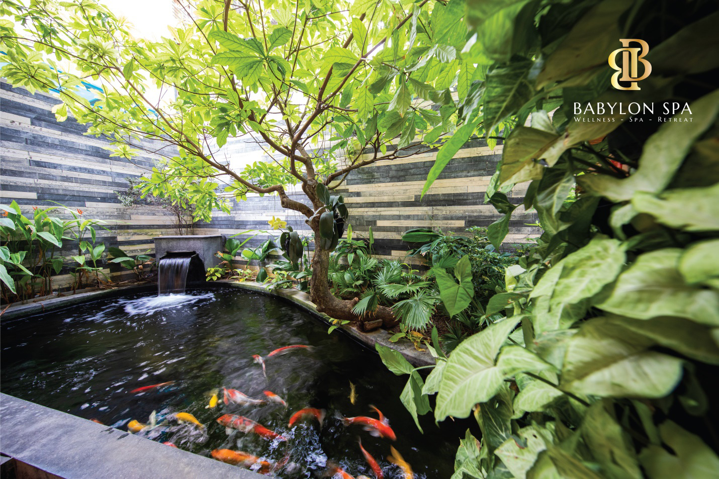 10 lí do tại sao bạn nên chọn Babylon Spa là điểm đến để thư giãn khi ...