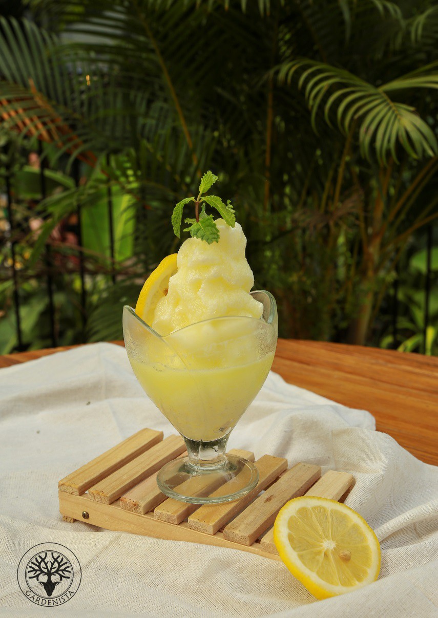 Yuza – “Cây thảo dược quý” trong làng hoa quả