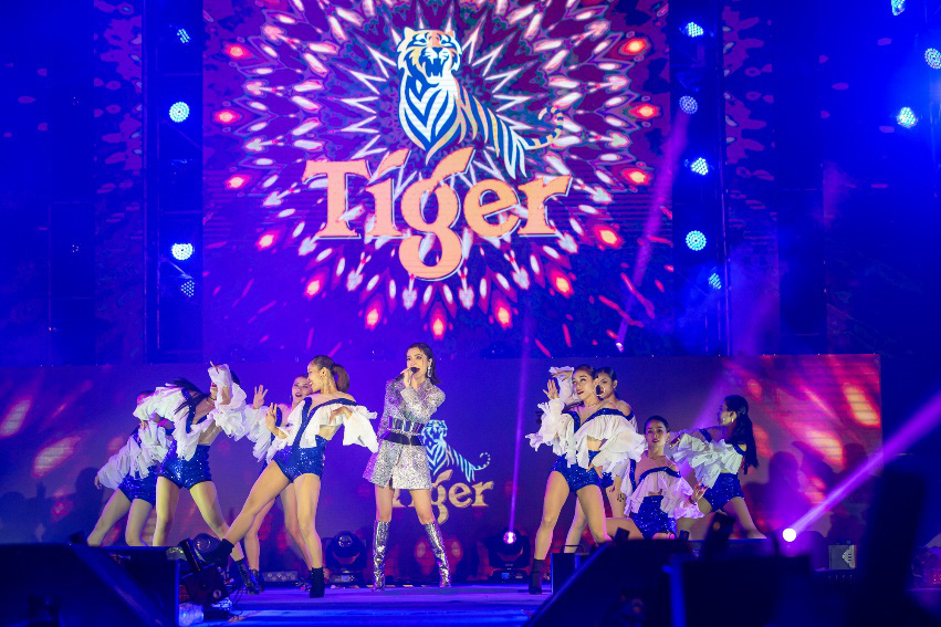 Hành trình của Tiger Remix 2020 khép lại với những màn trình diễn làm ...
