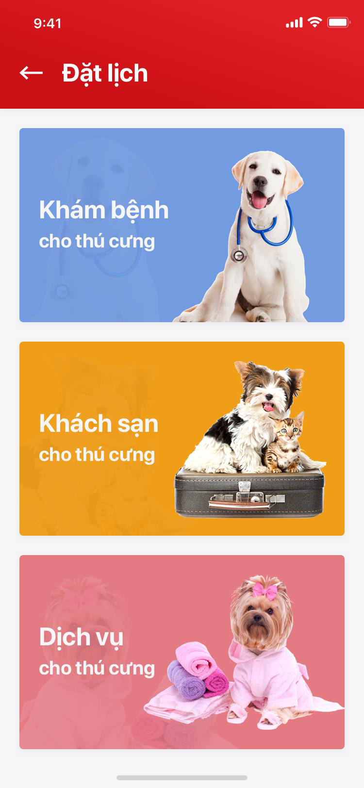 Mypet - Ứng dụng mua sắm, đặt lịch dành riêng cho thú cưng tiên phong ...