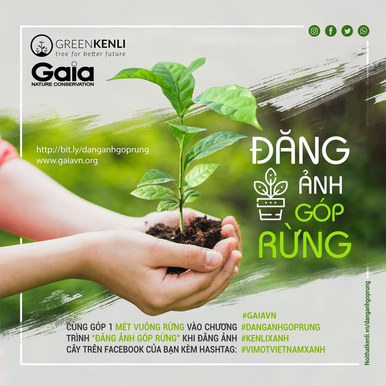 Cư dân mạng "rần rần" tham gia trào lưu mới “Đăng ảnh góp rừng” phục ...