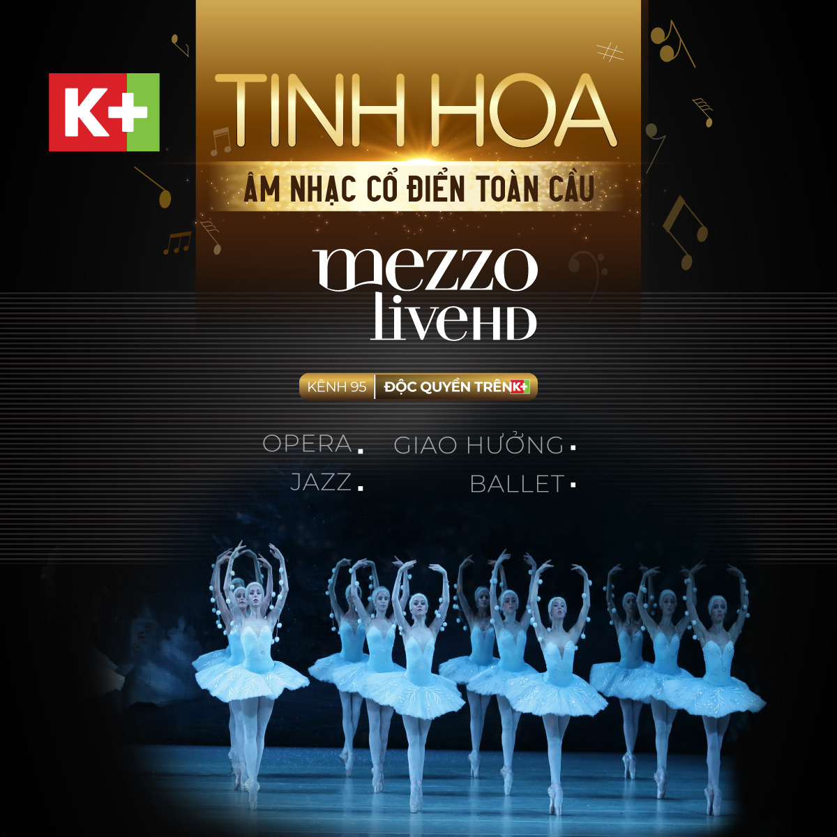 Mezzo Live HD - Kênh âm nhạc cổ điển chinh phục người yêu nghệ thuật từ ...