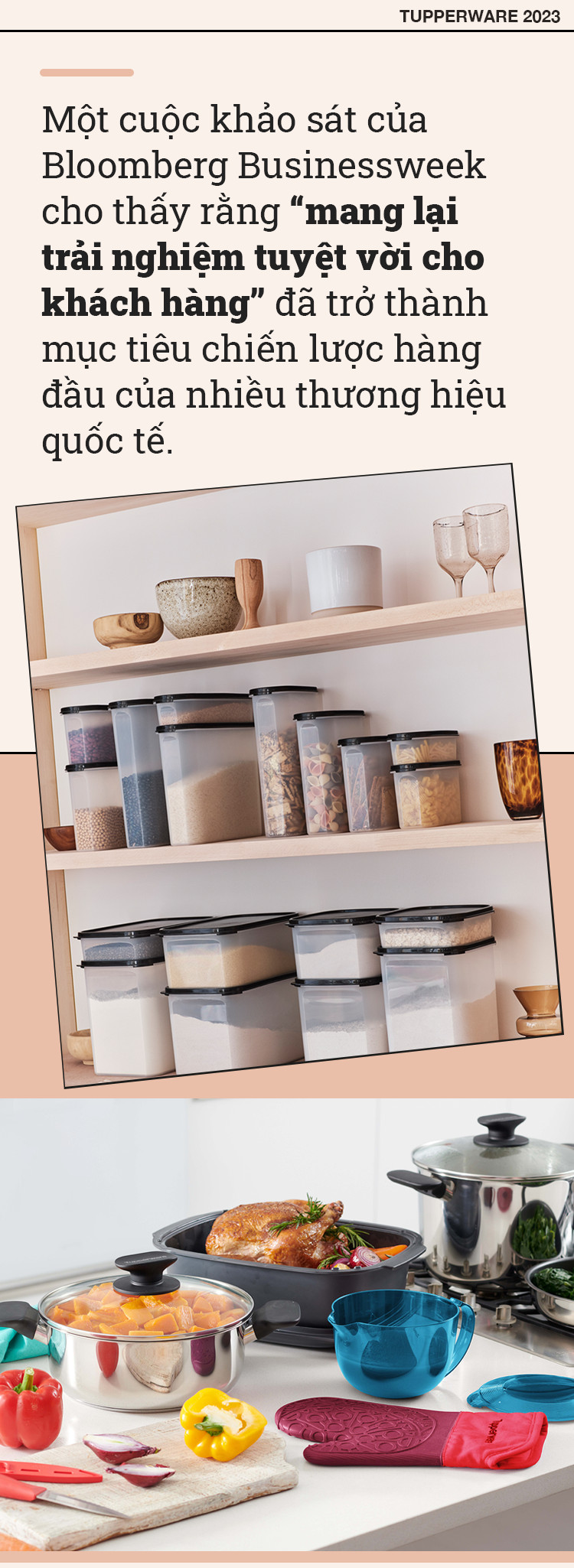 Tupperware Việt Nam và chiến lược kinh doanh trong điều kiện thị trường ...