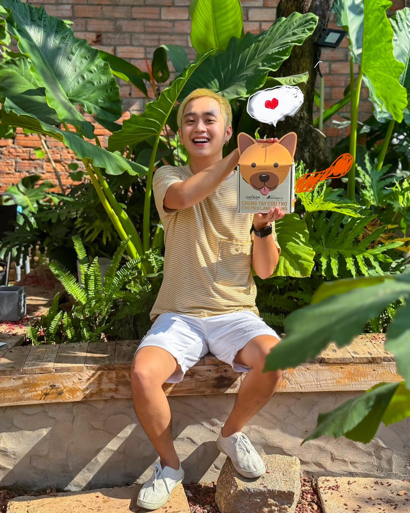 Cocoon x AAF: Ai cũng có thể chung tay cứu trợ chó mèo lang thang