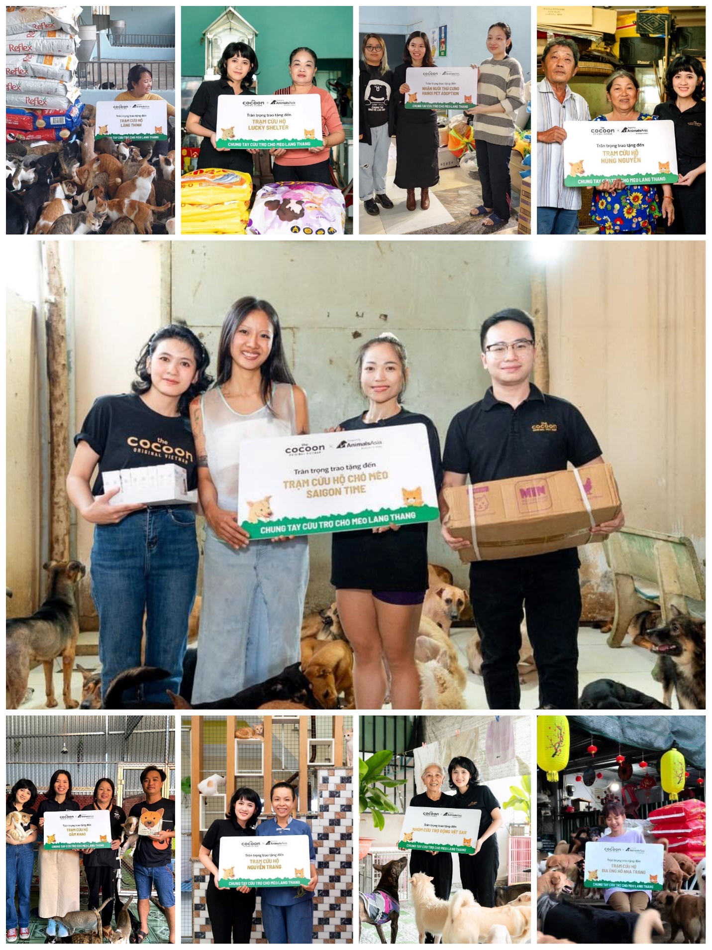 Cocoon x AAF: Ai cũng có thể chung tay cứu trợ chó mèo lang thang