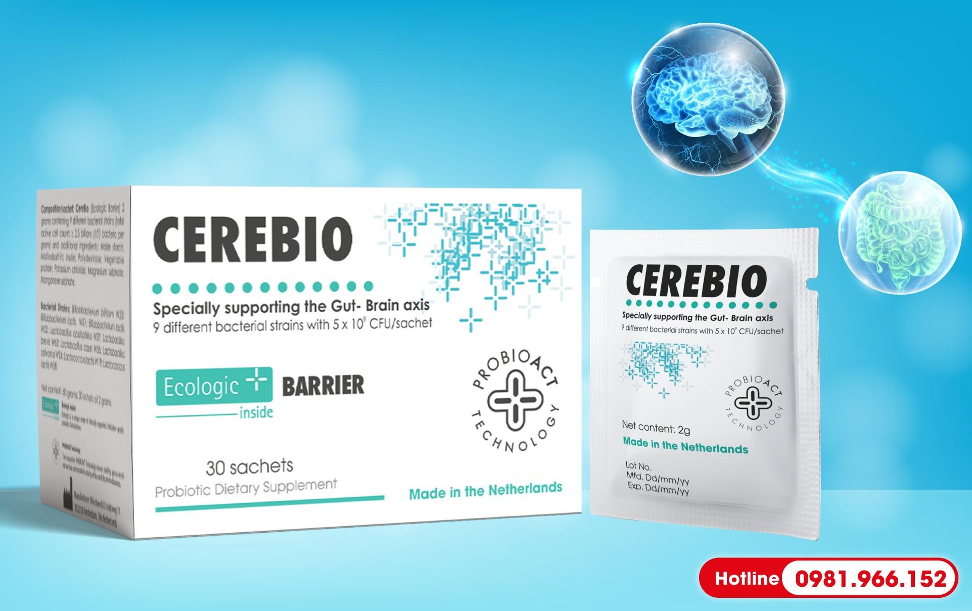 Căng thẳng, lo âu ở dân văn phòng