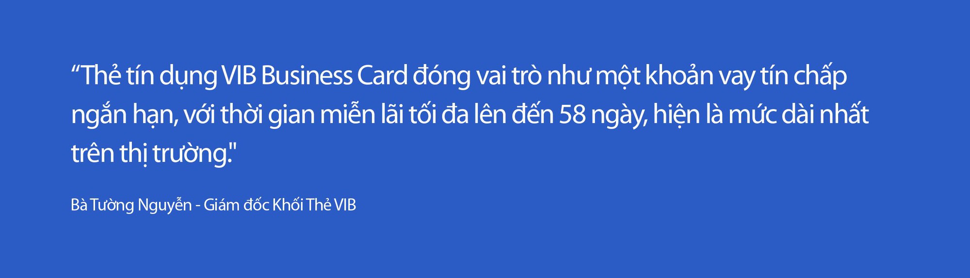 VIB Business Card: Giải pháp toàn diện khơi thông dòng vốn, minh bạch ...
