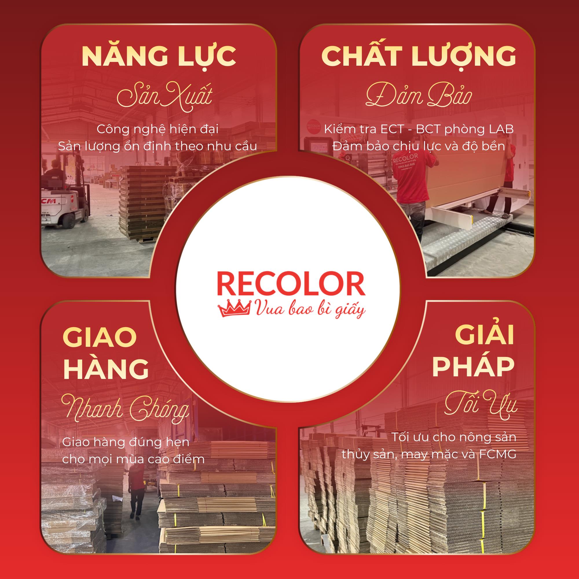 RECOLOR và giải pháp thùng carton phù hợp cho doanh nghiệp
